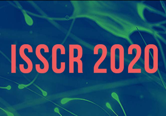 Chen Dong to speak at the ISSCR 2020 Virtual Meeting – Theunissen Lab